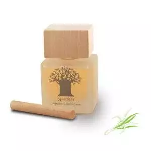 Mockana Wooden Top Diffuser Spicy Bushwillow 120ml - Friedman & Cohen